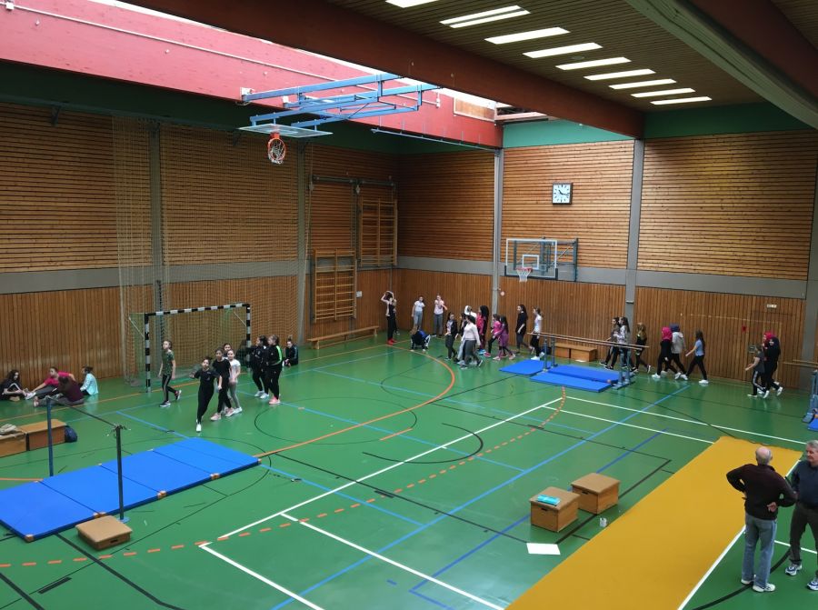 Startseite - Nibelungen-Realschule plus Worms